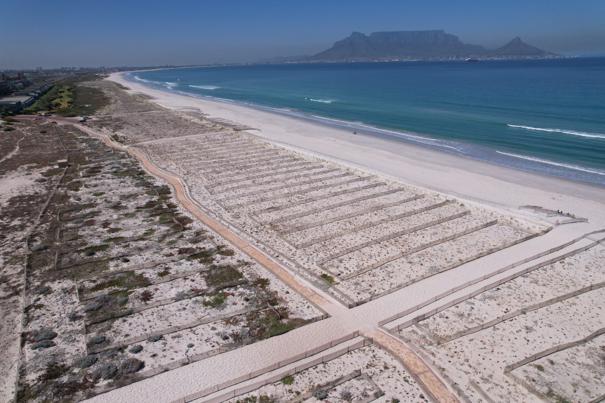 PROJECT 1 - Table View Coastal Dune Management - Vula Environmental ...